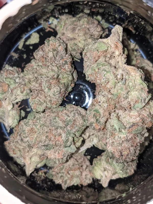 Buy Animal Runtz Weed Strain | Premium Hybrid Flower