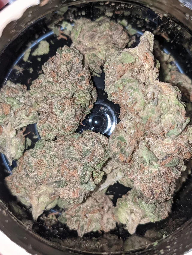 Buy Animal Runtz Weed Strain | Premium Hybrid Flower