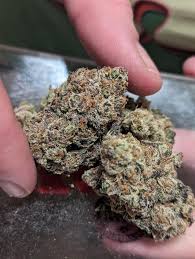 Runtz Your Face Off | Buy Runtz Your Face Off