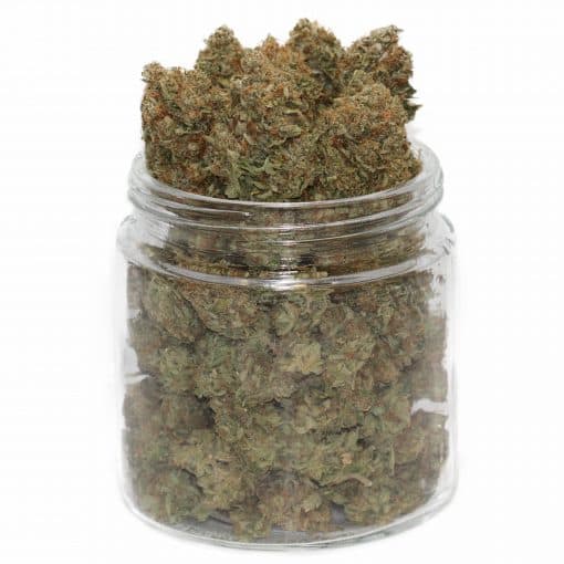 Gucci Runtz Strain | Buy Exotic Gucci Runtz Weed Online